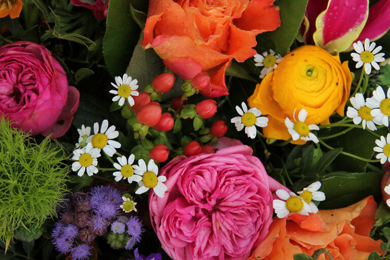 SCL ColdChain – Logistics